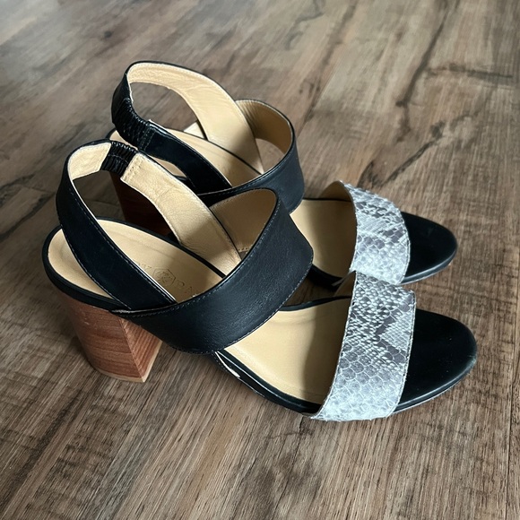 Poppy Barley | Shoes | Poppy Barley Chunky Heels | Poshmark